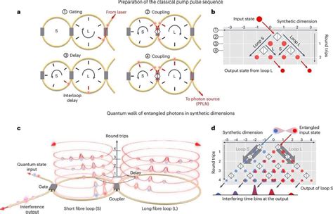 Quantum Research Breakthrough Uses Synthetic Dimensions To Efficiently Process Quantum