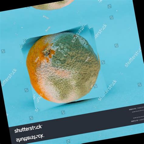 orange detection object detection dataset v7 2024 03 05 8 21pm by