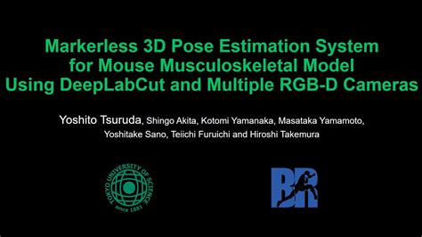 Markerless 3d Pose Estimation System For Mouse Musculoskeletal Model