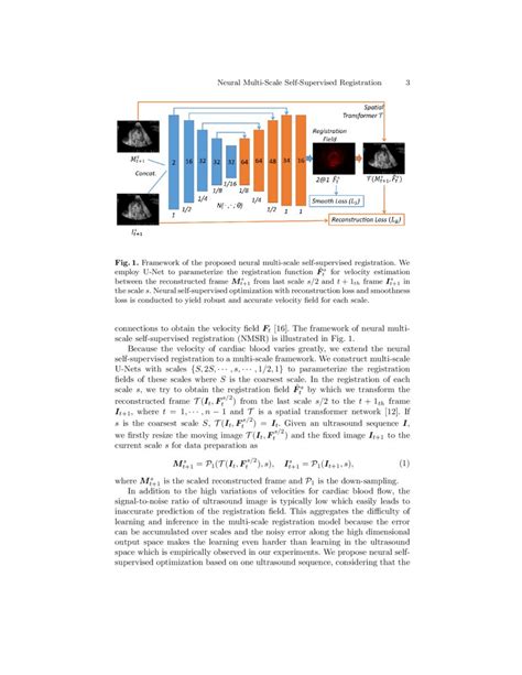neural multi scale self supervised registration for echocardiogram