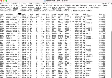 How To Use The Kill Command To End A Process Using Terminal On Mac MacReports