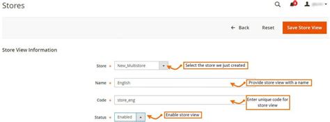 how to setup multi store in magento 2