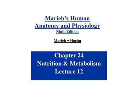PPT Chapter Nutrition Metabolism Lecture PowerPoint Presentation ID