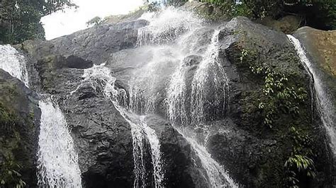 Argyle Waterfall A Natural Gem In Tobagos Rainforest • Island Likes