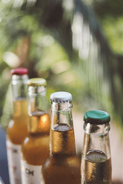 Guide To Second Fermentation For Homemade Kombucha Booch