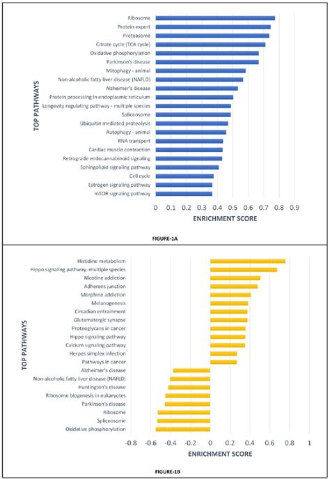 Figure 1 From Integrated Multi Omic Data Analysis And Validation With