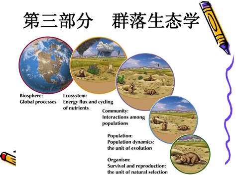 第三部分 群落生态学 1 群落的组成与结构word文档在线阅读与下载无忧文档