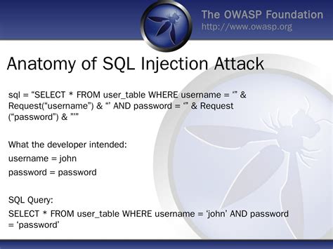 Injection Flaws Owasp
