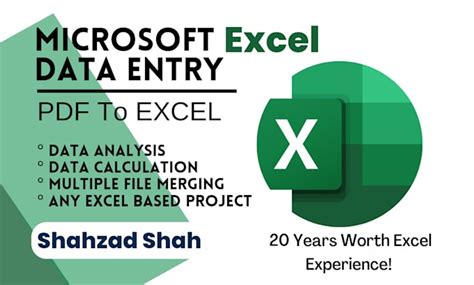 Do Excel Data Entry Expert Data Analytics Excel Calculations By Shahzadshah1221 Fiverr