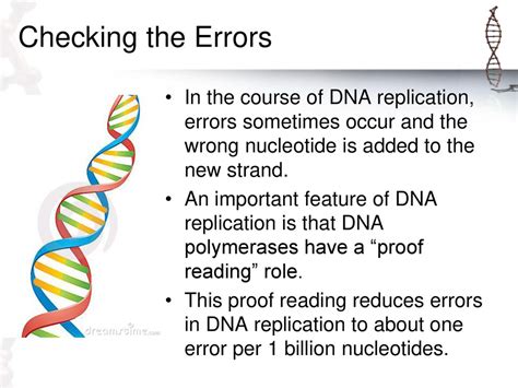 Chapter 9 Section 3 The Replication Of Dna Ppt Download