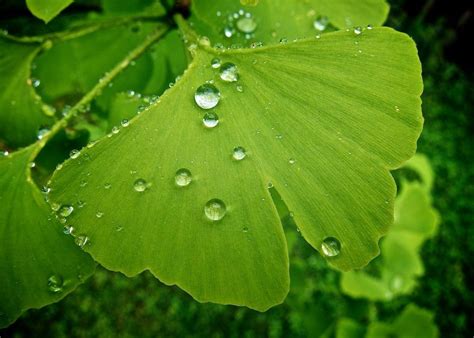 Simplicity At Work A Simple Lesson The Performance Ideas Blog