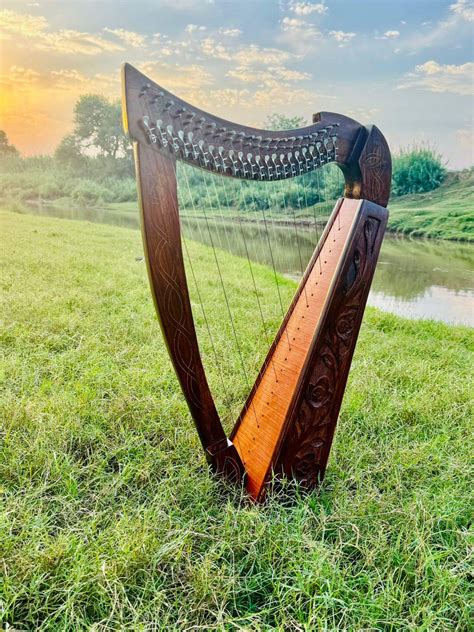 22 String Harp Solid Rosewood Extra Strings And Carrying Case Great For Teenagers Etsy
