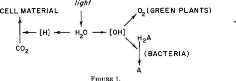 Figure 1 From The Role Of Organic Substrates In Bacterial