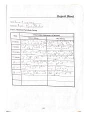 Lab 8 Report Pdf Course Hero