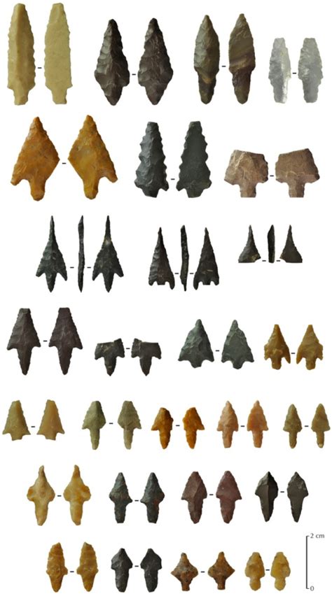 Others Types Of Projectile Points From Jq 101examples Open I