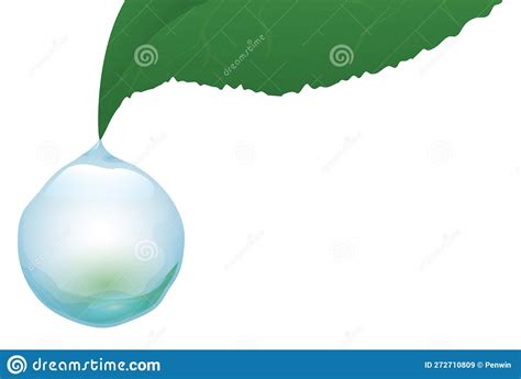 Water Drop Drawing On Leaf