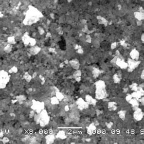 SEM Images Of A Pure BS B Surface Modified BS Min C Download Scientific Diagram