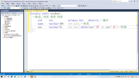 SQL Server如何建表 sql数据库建立一个表 CSDN博客