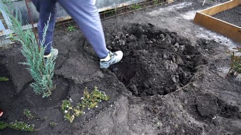 Как дешево за пару дней построить садовый пруд