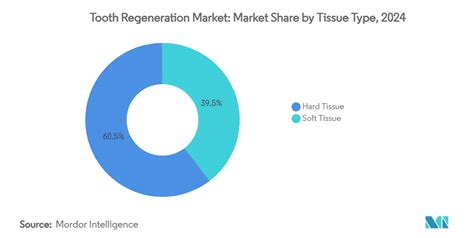 치아 재생 시장 규모 및 점유율 분석 산업 연구 보고서 성장 동향