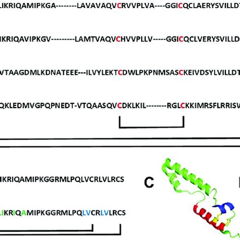 A Alignment Of The Partial Primary Amino Acid Sequences Of Surfactant