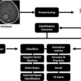 Pdf Open Access Brain Mri Images For Brain Tumor Detection Using Deep Learning