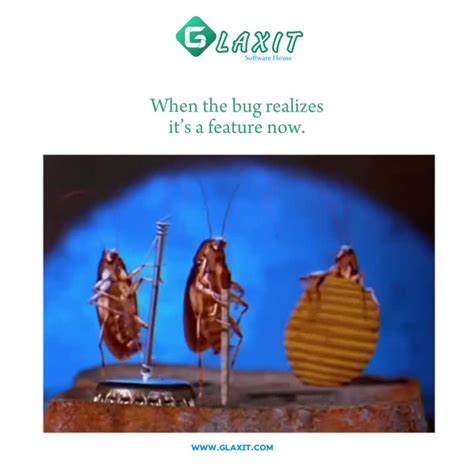 Moosa Shah On Linkedin Glaxit Programming Viral Bug Fyp Linkedin