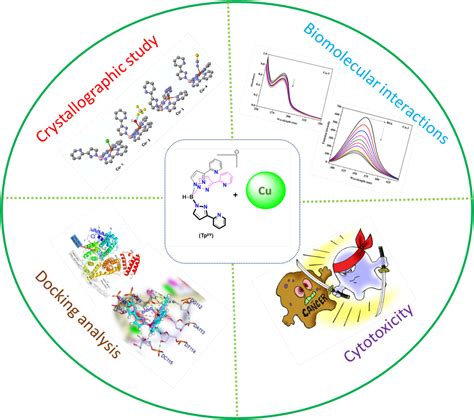 Synthesis Characterization Cytotoxicity Evaluation And Molecular Docking With Dna Bovine