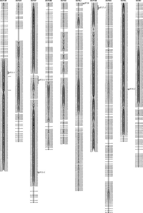 Twenty Linkage Groups Of The Soybean High Density Genetic Map Linkage