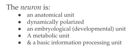 Chapter 2 Neurons And Glia Flashcards Quizlet
