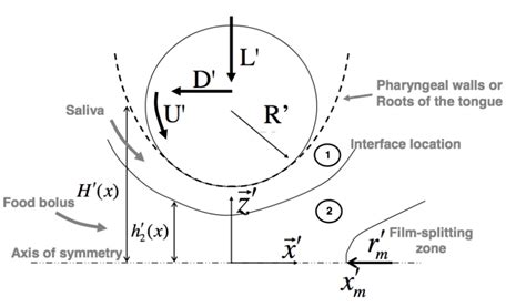 10 schematic diagram of definitions and notations download