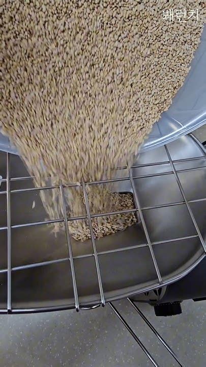 협찬 부모님선물로 딱입니다 협찬 가정용채유기 리큅채유기 참기름짜는기계 들기름짜는기계 기름짜는기계 Youtube