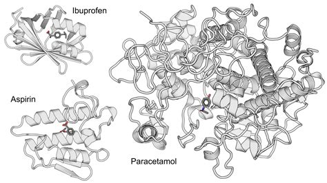 Diffdock For Drug Discovery 310 Generative Ai For Molecule Programing