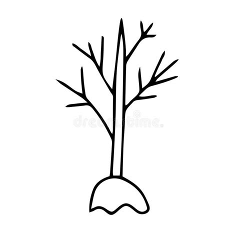 Black Outline Hand Drawing Vector Illustration Of A Deciduous Tree Without Leaves In Fall