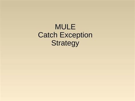 Handle Exceptions In Mule Ppt
