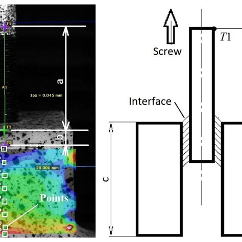 Basic Dimensions Of Dic Measurement Download Scientific Diagram