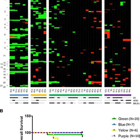 Cluster Analysis Of Hereditary Tumors A Unsupervised Hierarchical