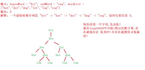 单词接龙最小基因变化牛客网