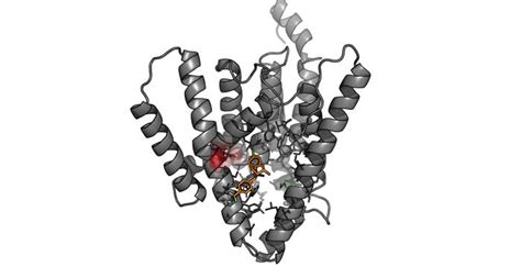 Ali Hoseini Phd Mba On Linkedin Drugdiscovery