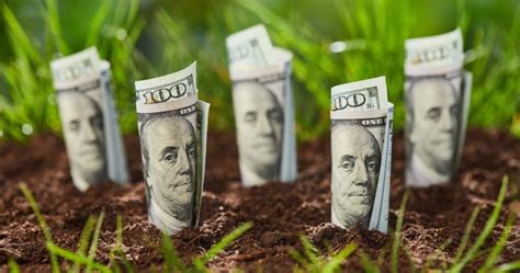 The Why And How Of Automating Your Savings Thinking Frugal