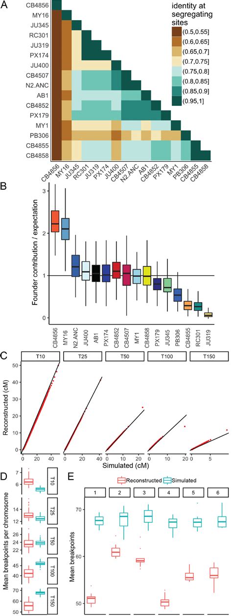 Figure S3 Summary Of Haplotype Reconstruction A Genetic Similarity Download Scientific