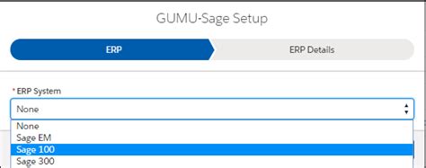 Setting Up The Sage 100 Integration In Gumus New Pure Lightning