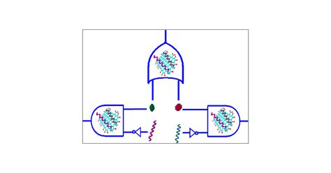 Graphene Based Aptamer Logic Gates And Their Application To Multiplex Detection Acs Nano