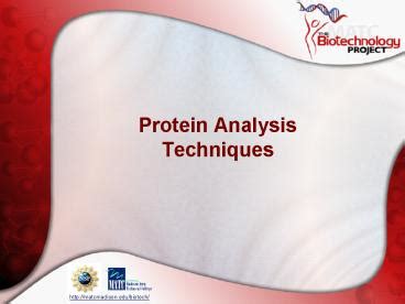 Protein Analysis Techniques Presentation Free To View