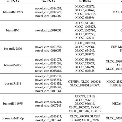 Quality Control Of Mrna And Long Chain Non Coding Rna Sequencing