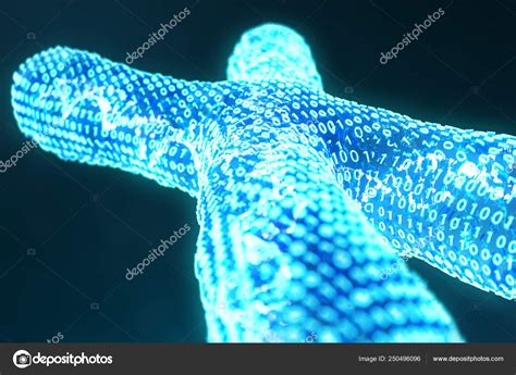 X Digital Artificial Chromosomes With Dna Carrying The Genetic Code