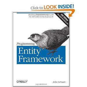 entiy framework kitabı book Bayram Üçüncü