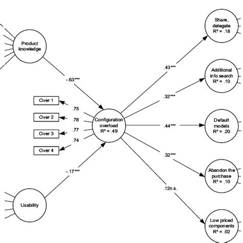 Basic Model Of Consumer Confusion Adapted From Rudolph And Schweitzer Download Scientific