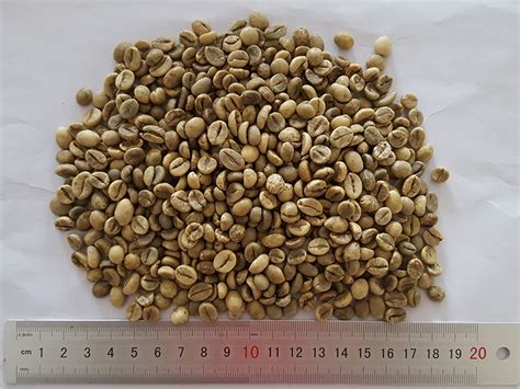 Yunnan H C Import Export Corp Yunnan Coffee Coffee Beans