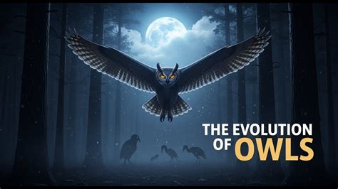 The Evolution Of Owls Youtube